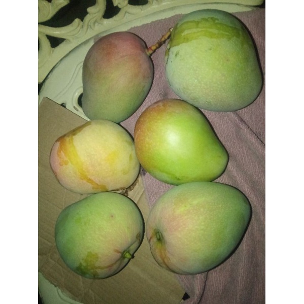Fresh Apple Mango (For Central Luzon, NCR at Calabarzon only) | Shopee ...