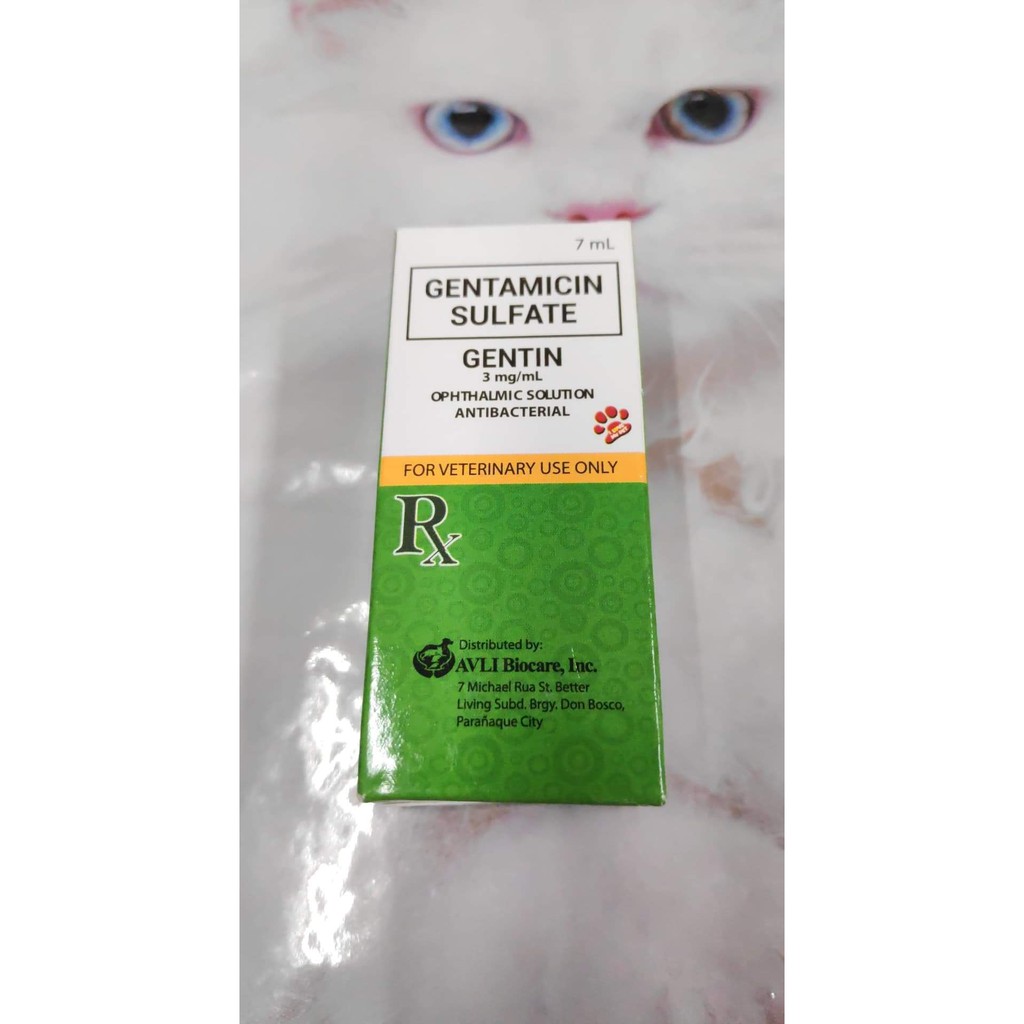 Gentin Antibacterial drops for dog and cats | Shopee Philippines