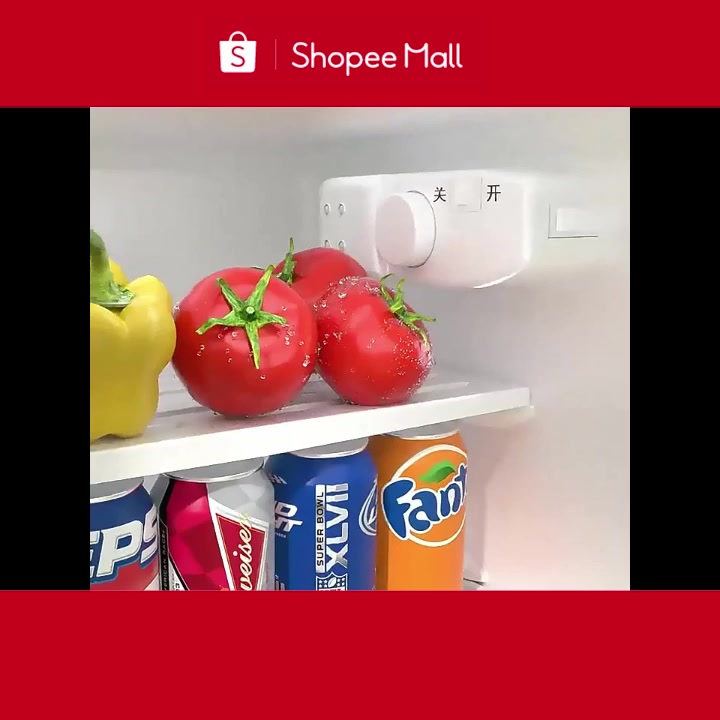 HOMEFUN Mini Refrigerator With Freezer 158L For Room Frost Fridge Save ...