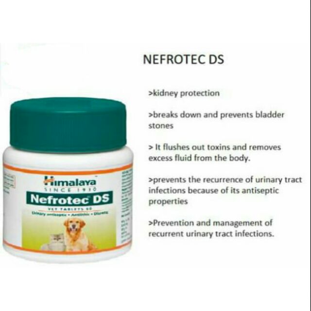 Nefrotec DS (60 tablet) | Shopee Philippines
