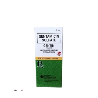 gentin - Best Prices and Online Promos - Jun 2024 | Shopee Philippines