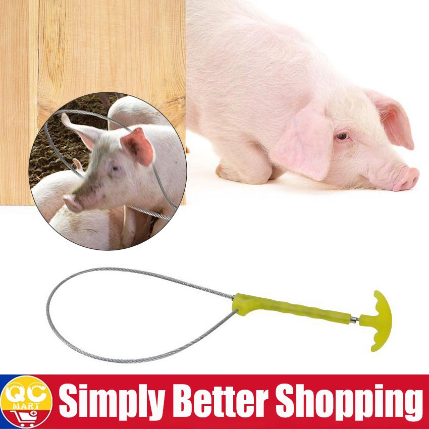 Pig Livestock Fixed Wire Ropes Wild Boar Mouth Fixing Rope Pig Baoding ...