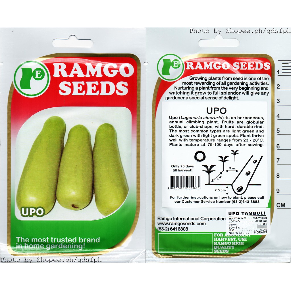 Ramgo RPO Seeds Upo tambuli 5g (Original Pack) GDSFPH_S4 | Shopee ...