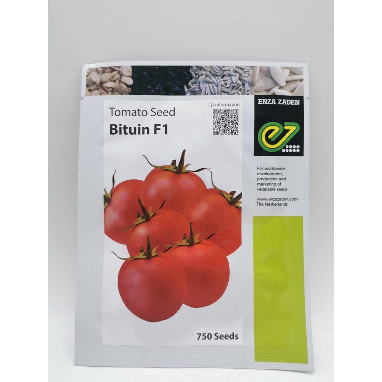 ENZA ZADEN TOMATO BITUIN SEEDS ( 750 SEEDS ) | Shopee Philippines