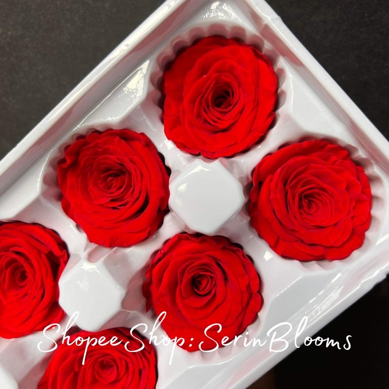 Real Preserved Rose sold per head | Shopee Philippines