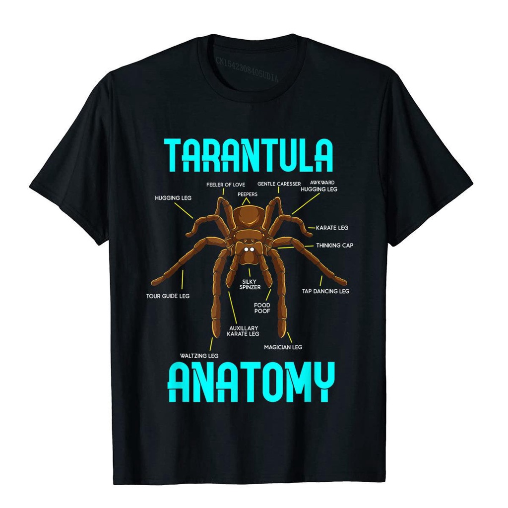 Tarantula Spider Anatomy Spider Diagram Tshirt T Tees Company Chinese ...