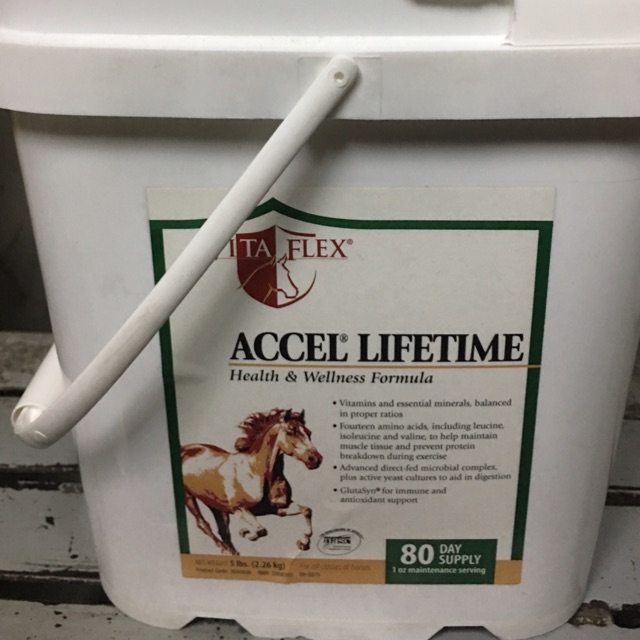Accel lifetime horse, racing pigeon & fighting cock Perkilo | Shopee ...