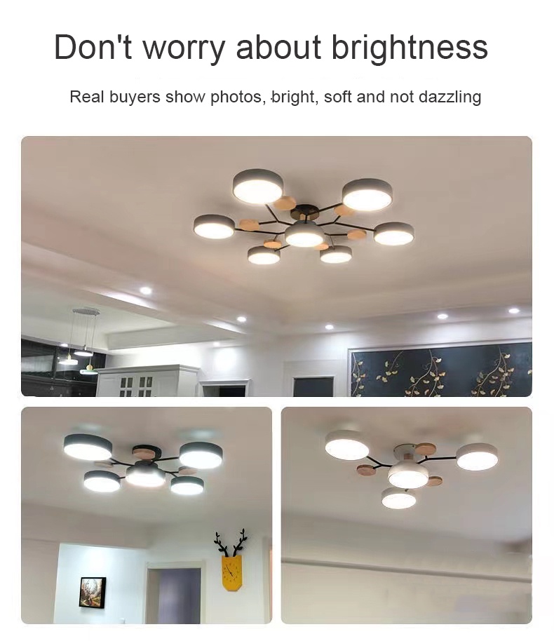 Nordic Ceiling Light Center Light Ceiling Living Room Chandelier Modern ...