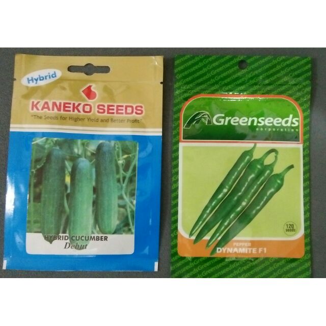 Hybrid Pipino Sili Kaneko/ Greenseeds | Shopee Philippines