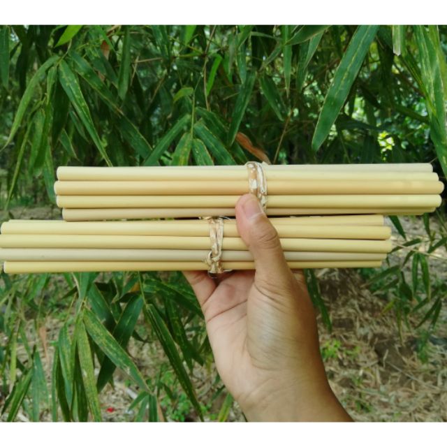 Bundle Palawan Regular Bamboo Straw (8mm) | Organic | Reusable | Shopee ...