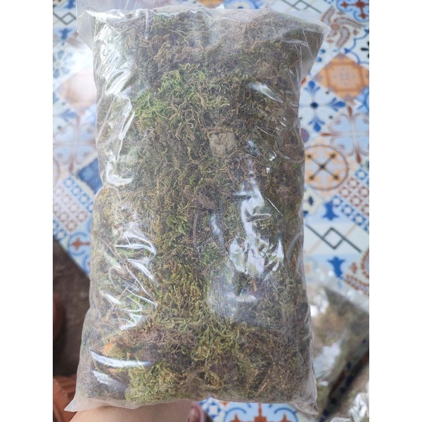 Moss dried sphagnum moss 100grams | terrarium | carnivorous Plant ...