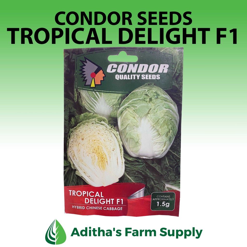 Condor Seeds: Tropical Delight F1 (Hybrid Chinese Cabbage) | Shopee ...