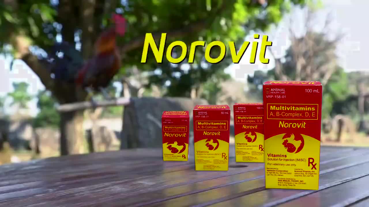 Norovit Multivitamins (50ml) | Shopee Philippines