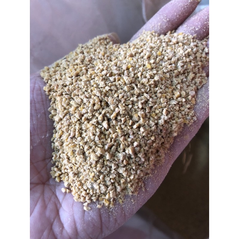 GMP1, GMP2, GMP3, GMP4 (GMP 1 , GMP 2 , GMP 3 , GMP 4) with Acti Plus ...