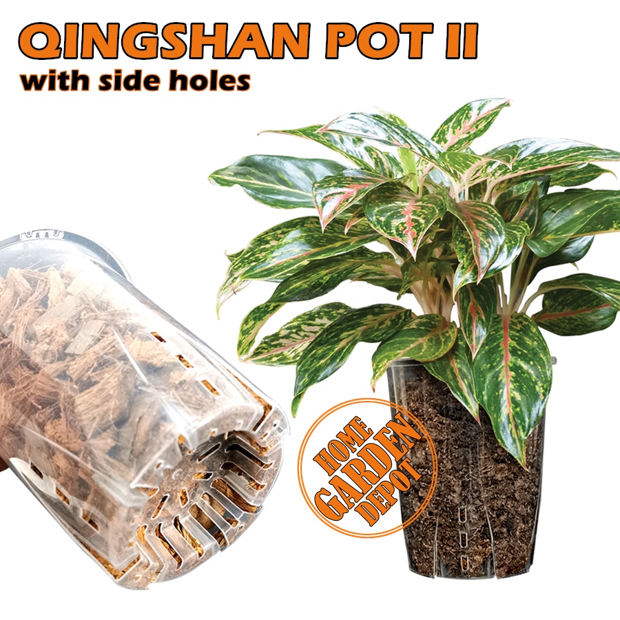 Transparent Flower pots Plastic Root Control Flowerpots 2 SIZE | Shopee ...