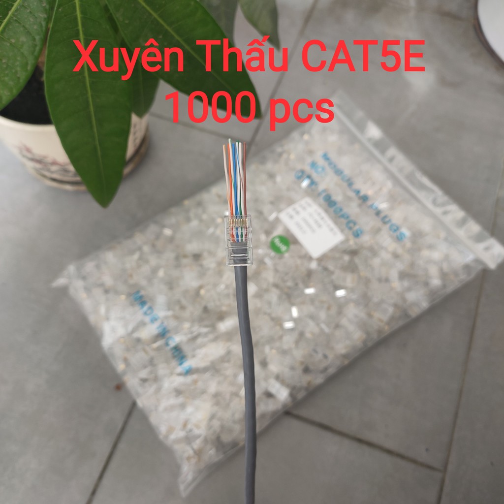 Rj45 CAT5E penetrating network head with good contact pins (Pack of ...