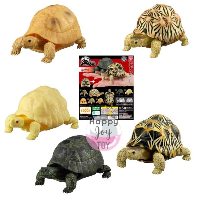 Gashapon Turtle KAME Tortoise Model 1 Version 2 And 3 Bandai | Shopee ...