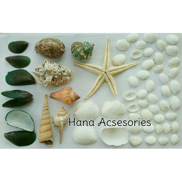 Mixed shell package for table filling consists of -+10 types of shells ...