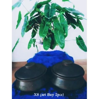 palayok - Best Prices and Online Promos - Jun 2024 | Shopee Philippines