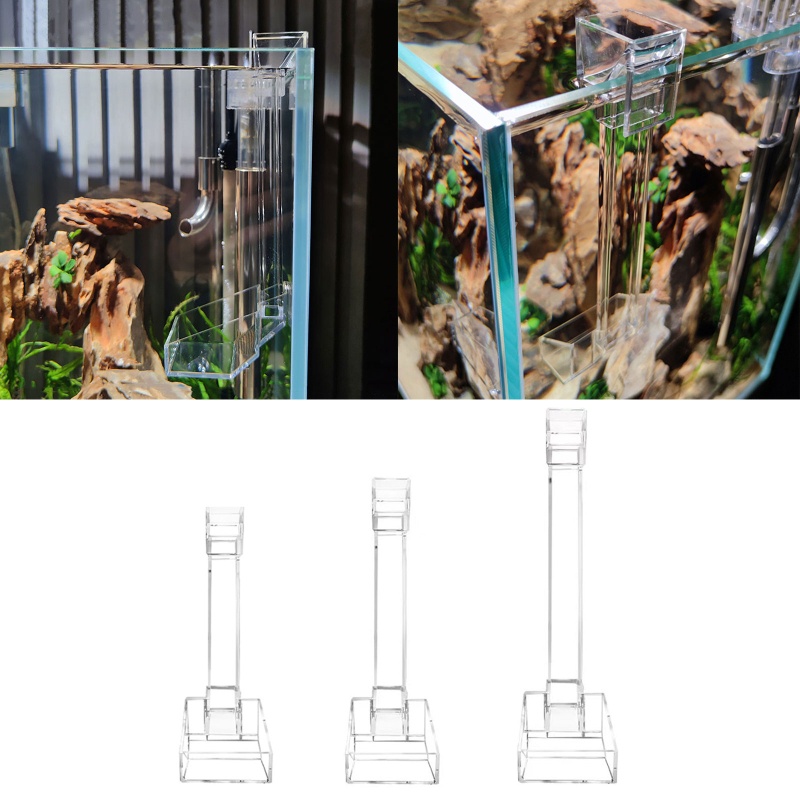 Acrylic Shrimp Feeder Feeding Tube Dish Cup Snail Fish Food Dish ...