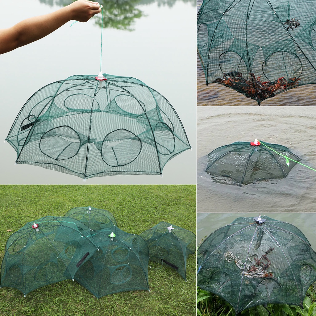 COD 4 6 8 12 Fish Trap Shrimp Compartment Net Food | Shopee Philippines
