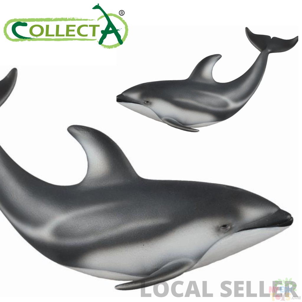 Pacific White Sided Dolphin - Collecta 88612 Ocean Sea Life Animal ...
