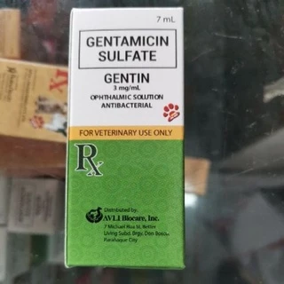 gentin - Best Prices and Online Promos - Jun 2024 | Shopee Philippines