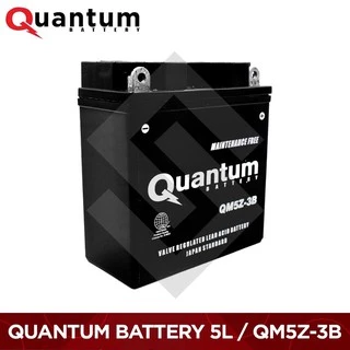 Shop battery quantum for Sale on Shopee Philippines