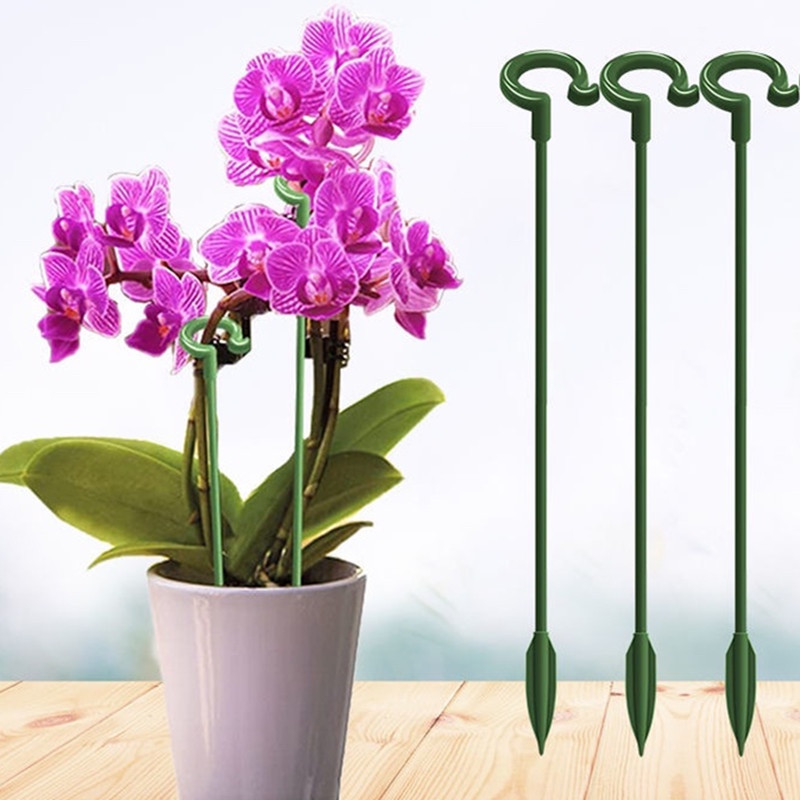 10Pcs Orchid Succulent Flower Holder Potted Support Rod Plants Stem ...