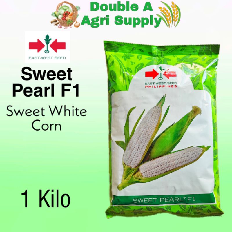 Sweet Pearl F1 Hybrid White Waxy Corn - East West Seed | Shopee Philippines