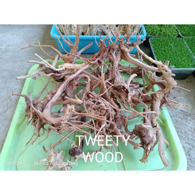 tweety wood for aquarium design | Shopee Philippines
