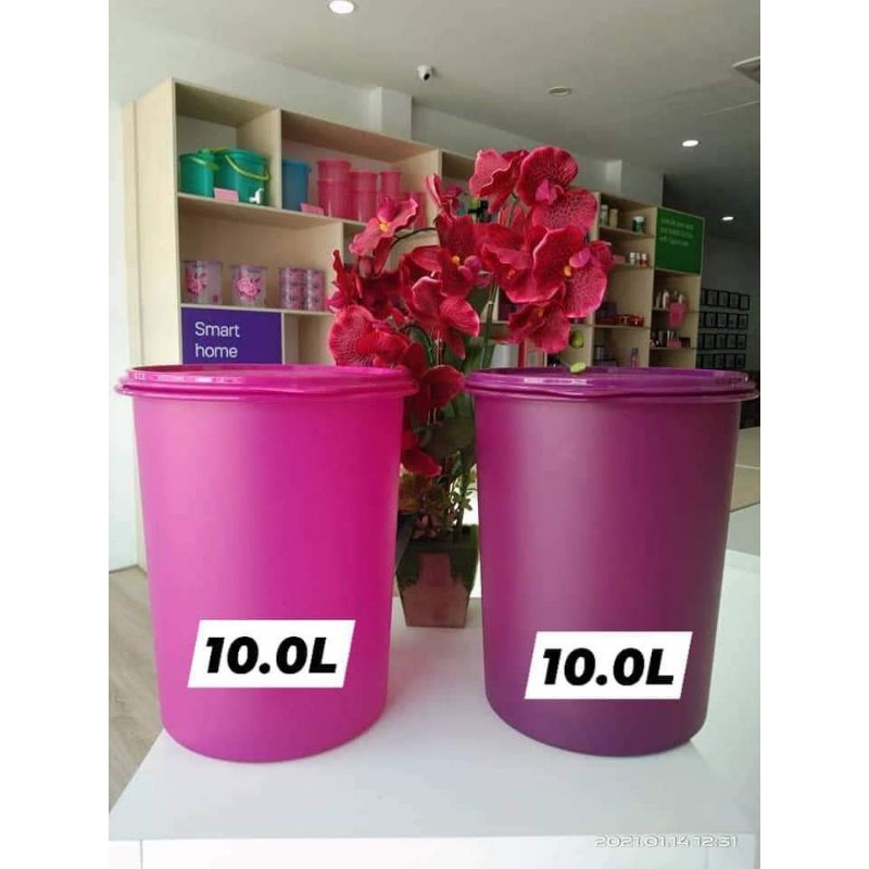 TUPPERWARE Tall Cannister 10L | Shopee Philippines