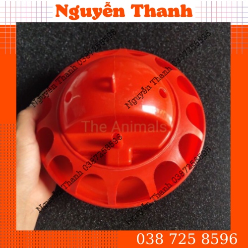 Automatic Drinking Troughs For Chicks, Ducks, Quails | Shopee Philippines