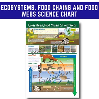 ECOSYSTEMS FOOD CHAINS & FOOD WEBS POSTERS CHARTS I ALL ABOUT SCIENCE ...