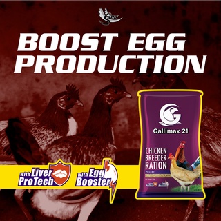 Pilmico - Gallimax 21 repacked per 2kg | Shopee Philippines