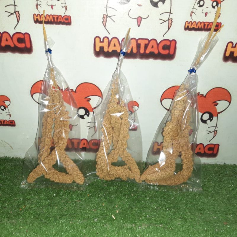Yellow & BLACK FOXTAIL MILLET SPRAY/JEWAWUT Stalk PACK/CEMILAN HAMSTER ...