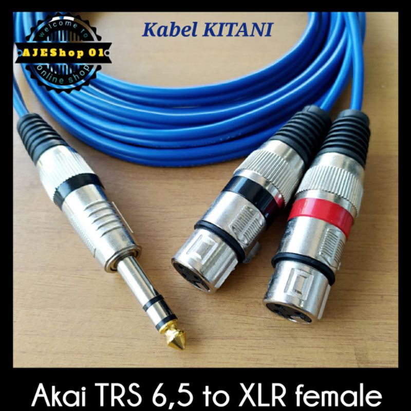 Trs 6,5 akai stereo to dual xlr female jack cable | Shopee Philippines
