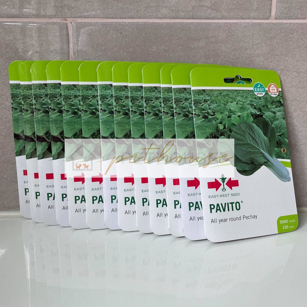 Pechay - Pavito (sold per pack) | Shopee Philippines