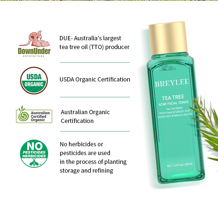 BREYLEE Acne Toner Facial Toner Acne Treatment Tea Tree Original ...
