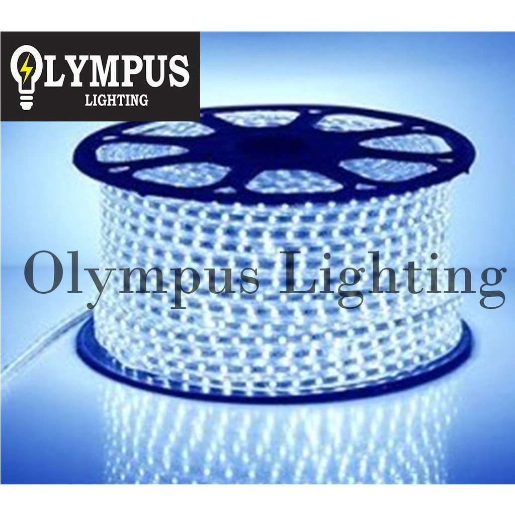 Olympus LED Waterproof 8mm Strip Lights 220V SOLD PER METER (Just plug ...