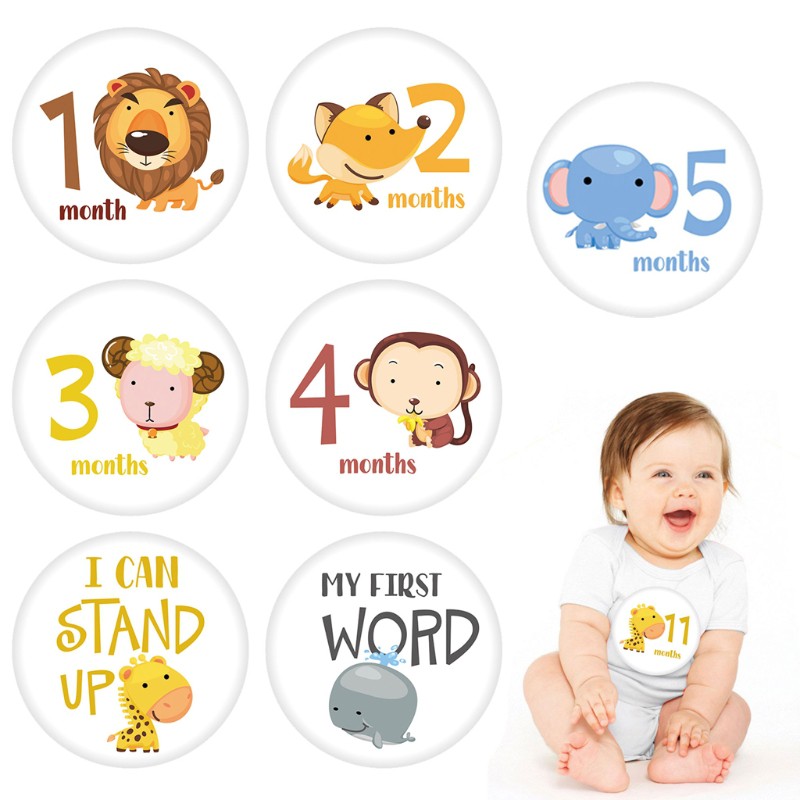 BB 12 Pcs Baby Monthly Stickers Milestone Card Gender Track Baby First ...
