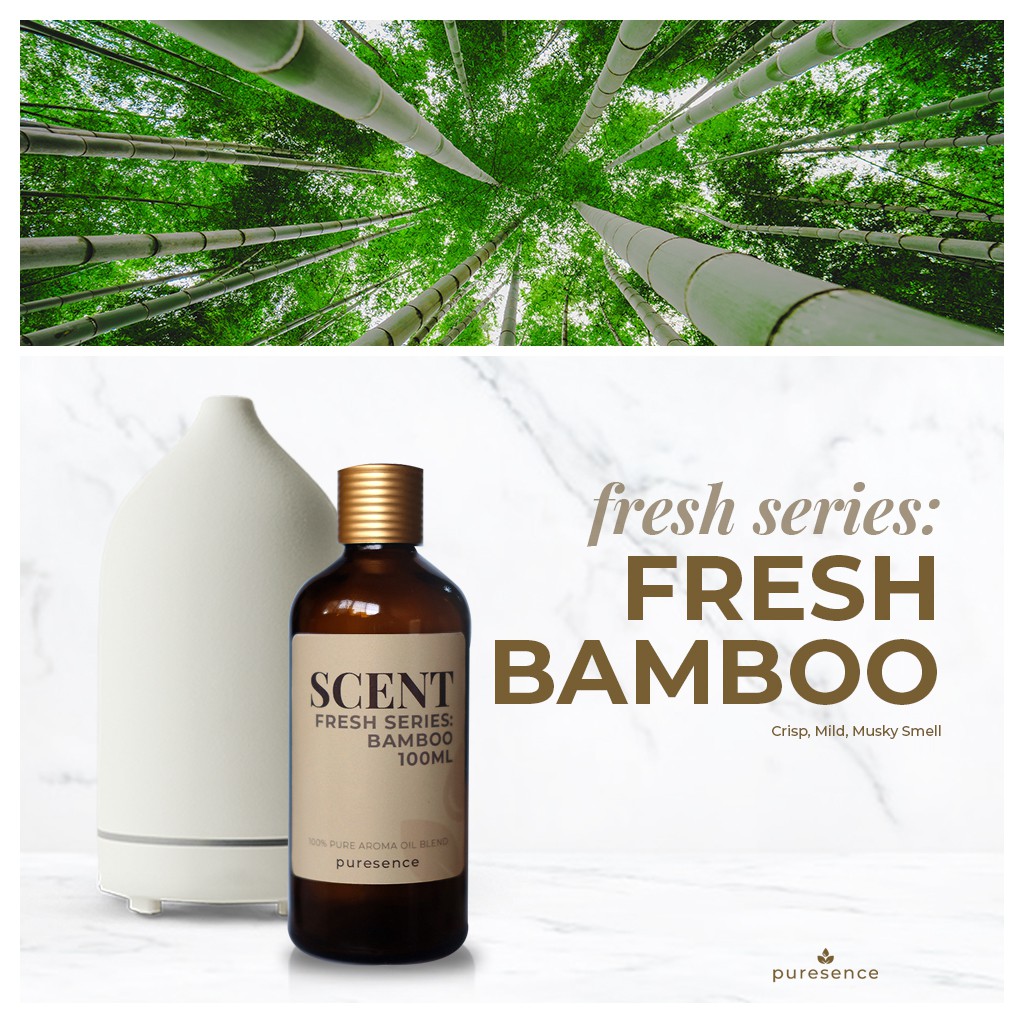 Fresh Bamboo Fragrance Oil For Diffusers Candles Soaps Perfume