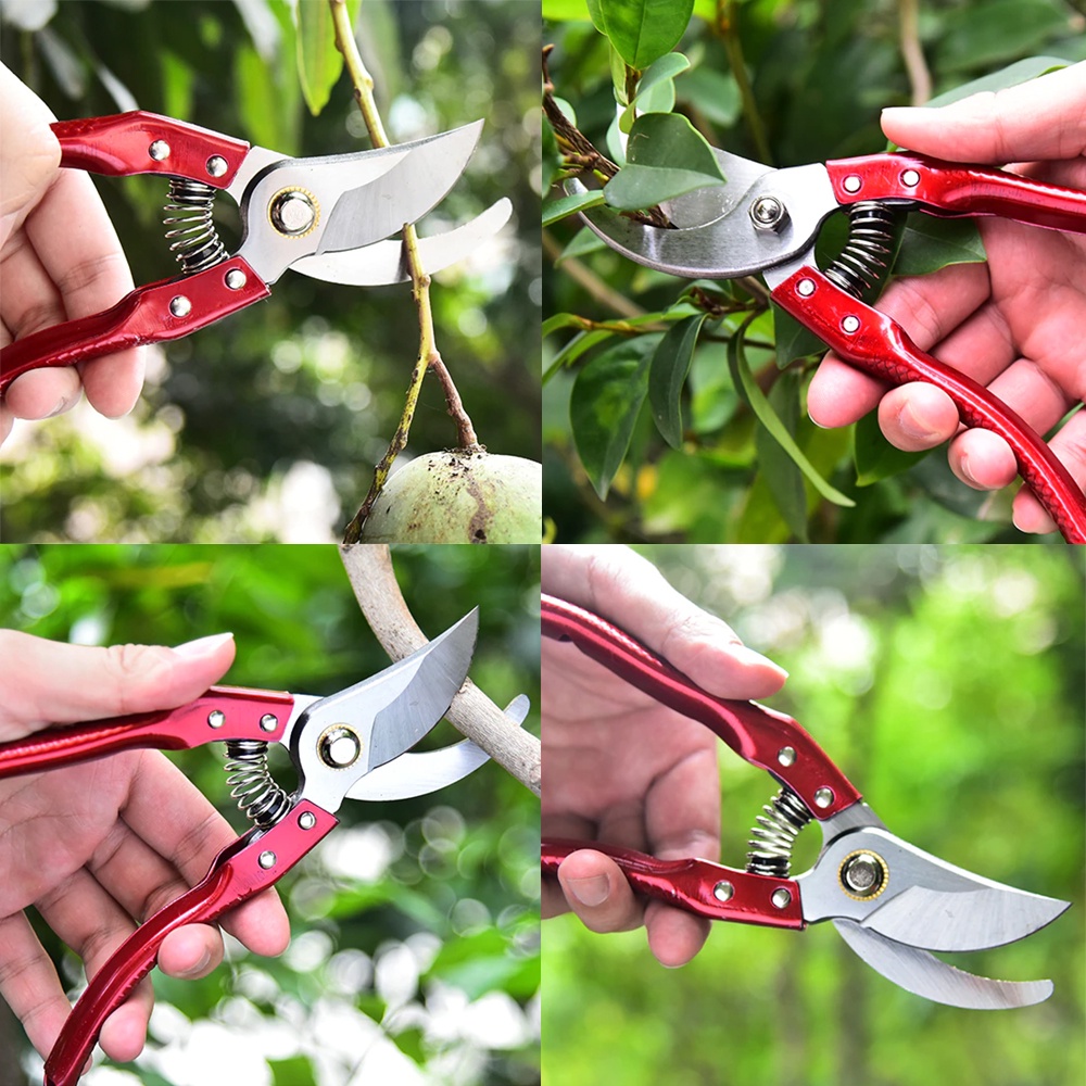 Homeflix Pruning Shears with Non-Stick Blade and Aluminium Handle,Heavy Duty Garden Clippers ...