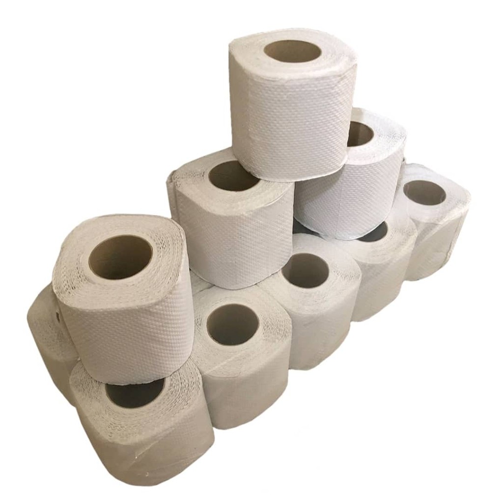 (10 ROLLS) Recycled Toilet Tissue Roll 2-Ply | Shopee Philippines