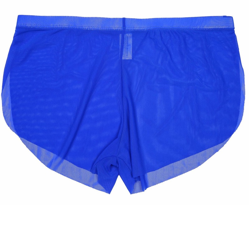 Men Mesh Boxers Ultra Thin Transparent Underwear Mens Sexy Shorts Low ...