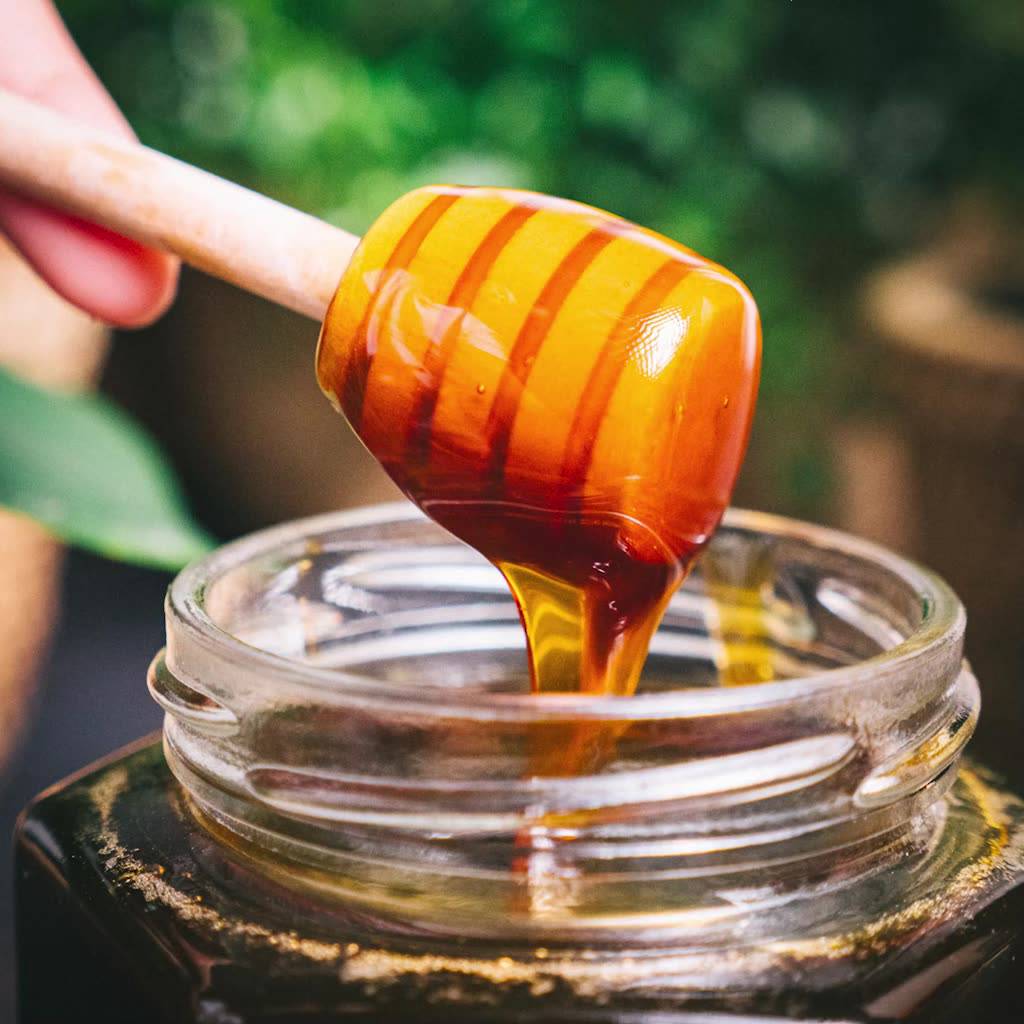 AMAMIO RAW FOREST HONEY 250ML, 500ml, 1 liter | Shopee Philippines