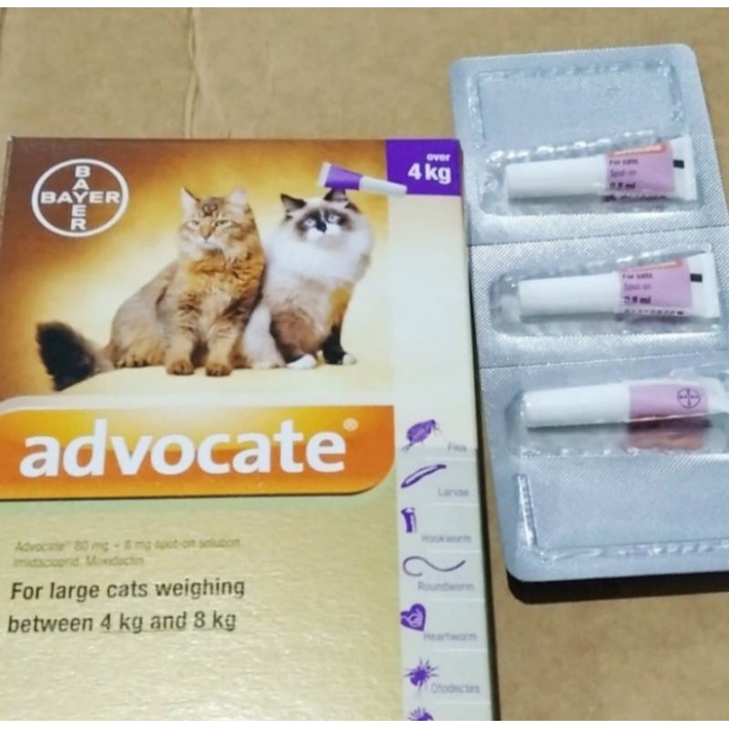(1box = 3tube) Advocate cat 4-8 kg - Powerful Flea Drops | Shopee Philippines