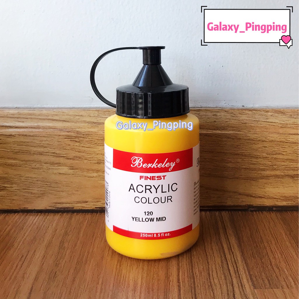Berkeley Acrylic Paint (250ml) | Shopee Philippines