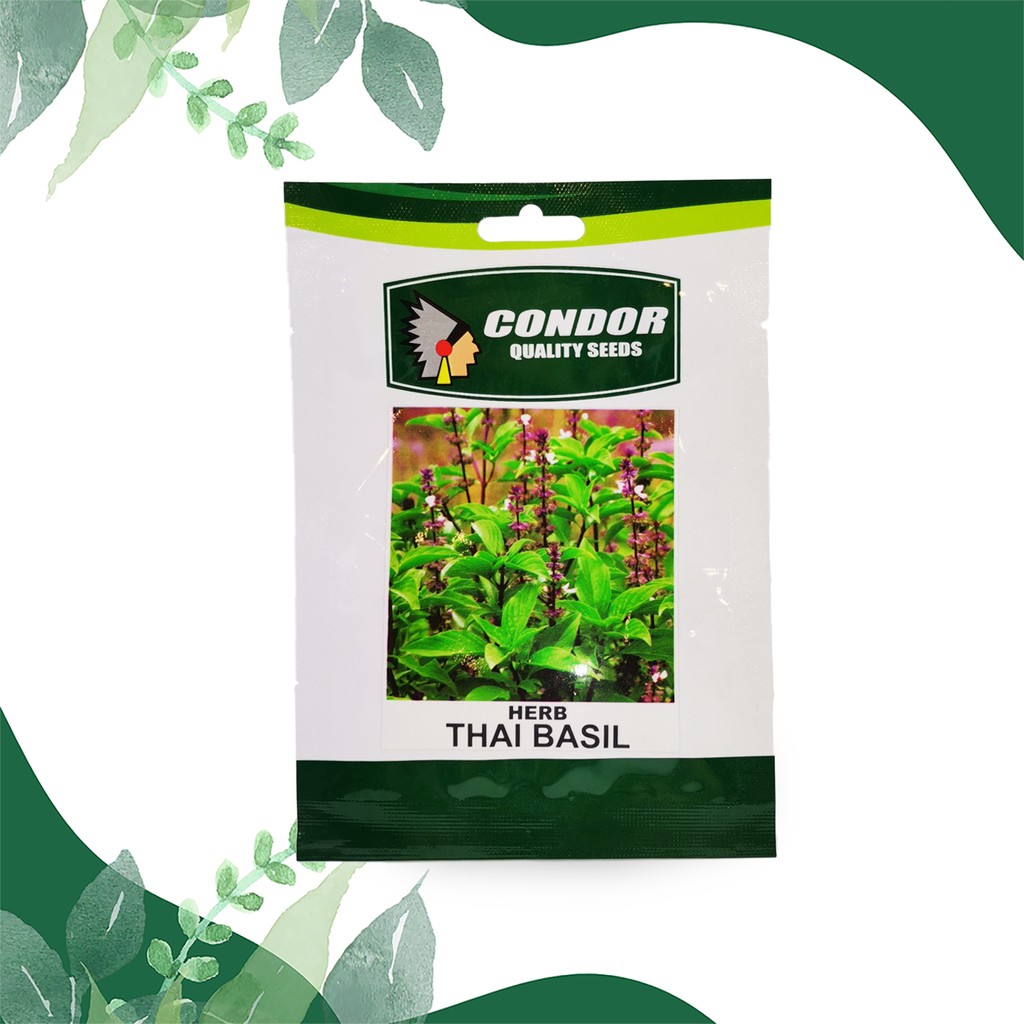Condor Quality Seeds Herb Thai Basil 5G | Shopee Philippines