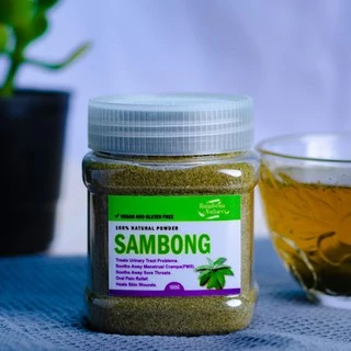 sambong - Best Prices and Online Promos - Jul 2024 | Shopee Philippines